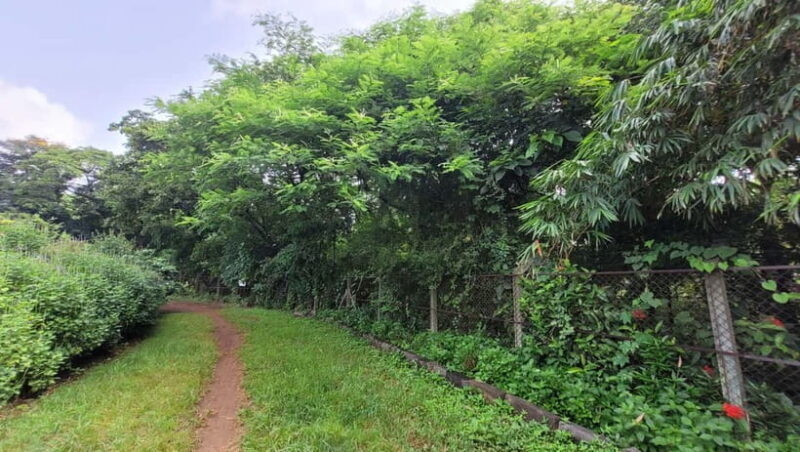 Mumbai: Maharashtra Nature Park Guided Nature Trail - Who Should Consider This Tour?