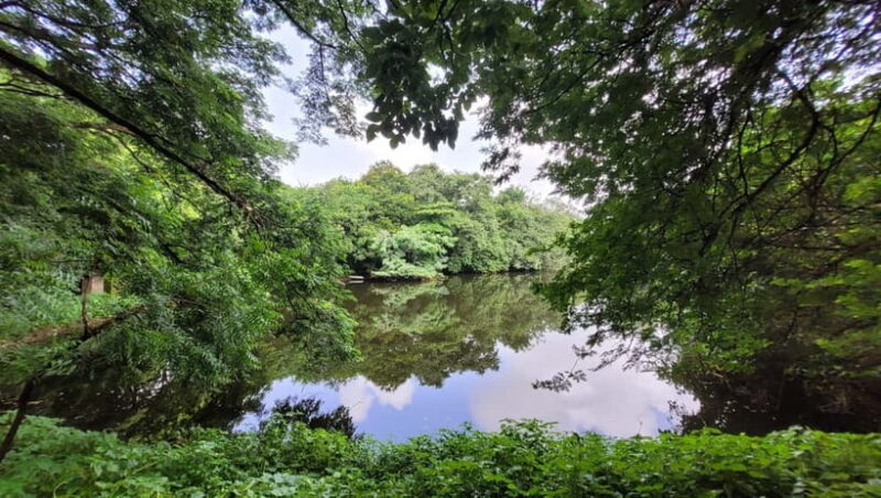 Mumbai: Maharashtra Nature Park Guided Nature Trail - FAQ