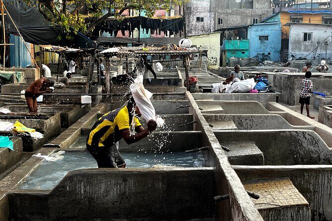 Mumbai Morning Market Tour of Flowers, Fish, and More - Cost and Value
