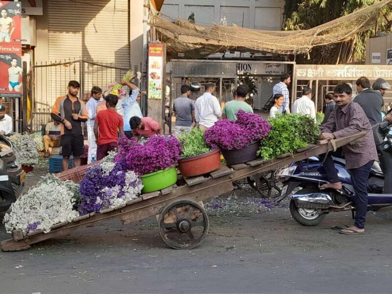 Mumbai Morning Tour Train Ride, Market & Hidden Local Spots - Authenticity and Guide Quality