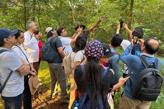 Mumbai Nature Trails Shilonda + Upper Kanheri + Gaimukh - Exploring Mumbai’s Green Heart: A Detailed Review of the Mumbai Nature Trails (Shilonda + Upper Kanheri + Gaimukh)