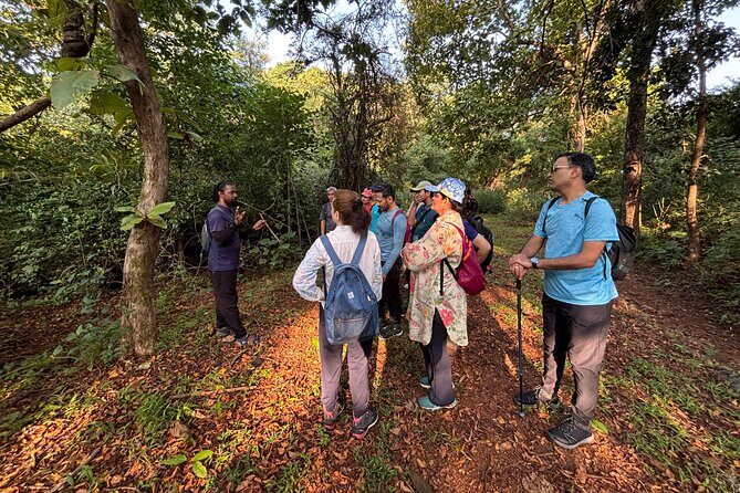 Mumbai Nature Trails Shilonda + Upper Kanheri + Gaimukh - Discovering Sanjay Gandhi National Park’s Treasures