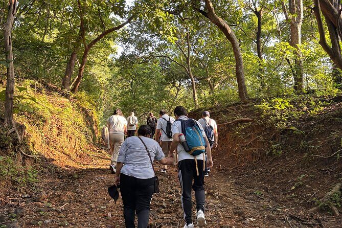 Mumbai Nature Trails Shilonda + Upper Kanheri + Gaimukh - Wildlife Encounters and Photography Highlights