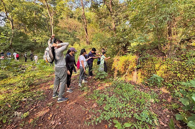 Mumbai Nature Trails Shilonda + Upper Kanheri + Gaimukh - Practical Details and Value