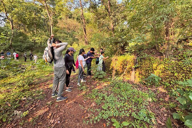 Mumbai Nature Trails Shilonda + Upper Kanheri + Gaimukh - Why This Tour Works Well