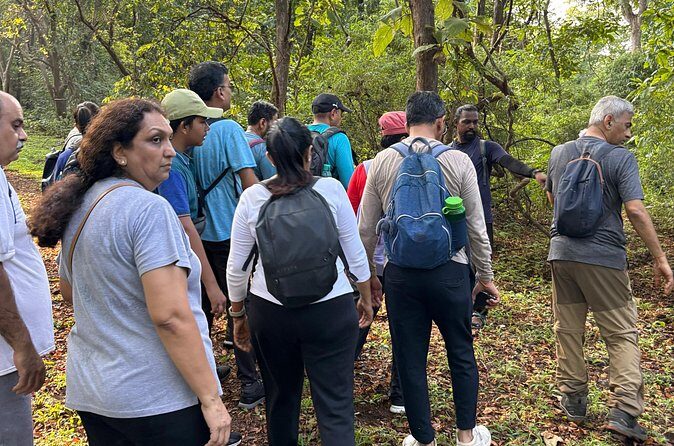 Mumbai Nature Trails Shilonda + Upper Kanheri + Gaimukh - Who Should Book This Tour?