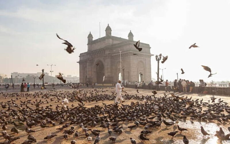 Mumbai Same Day Private City Tour by Car with Local Guide - Explore the Heart of Mumbai in One Day