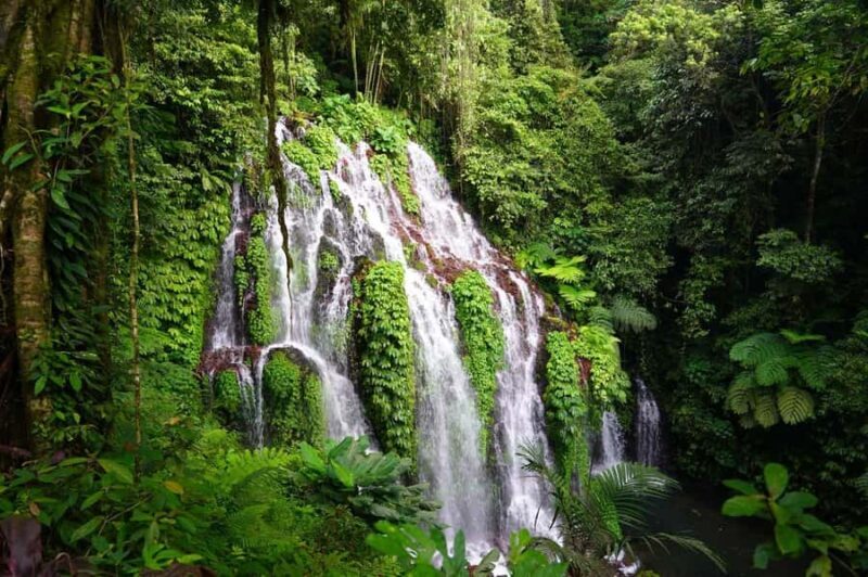 Munduk: Banyu Wana and Sekumpul Waterfall Trekking Tour - Key Points