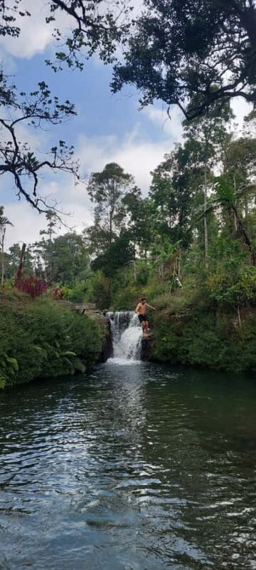Munduk: Banyumala Twin Waterfall Jungle Trek, Swim & Lunch - Introduction