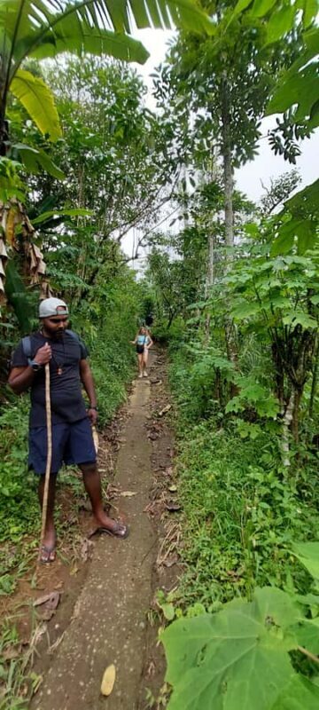 Munduk: Banyumala Twin Waterfall Jungle Trek, Swim & Lunch - What Travelers Say