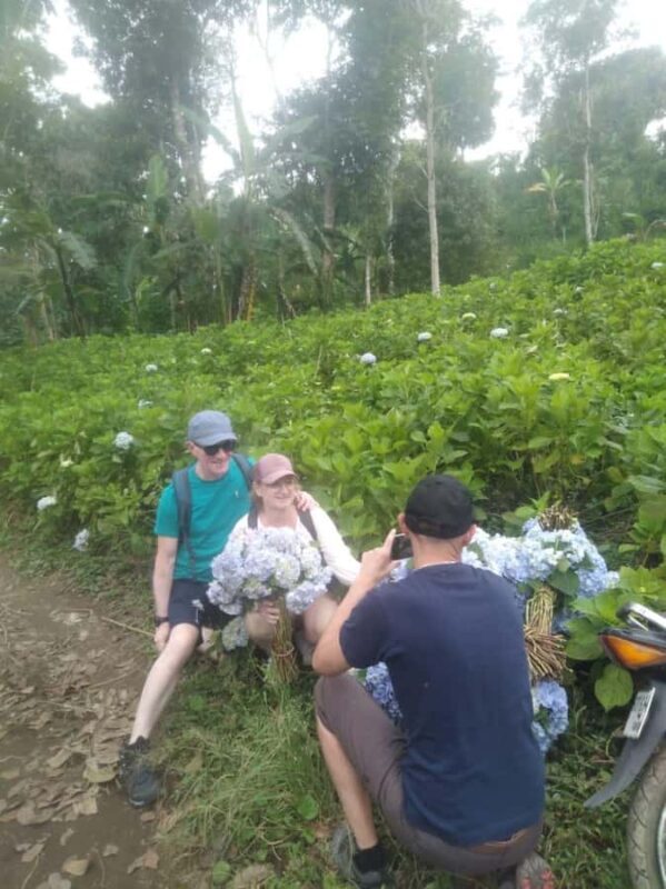 Munduk: Banyumala Waterfalls Hiking Tour - Introduction