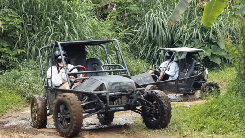 Munduk: Buggy Adventures with Picnic Lunch - A Closer Look at the Experience