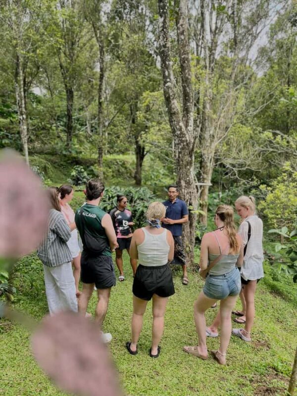 Munduk : Coffee Plantation Tour and Bamboo Weaving Class - A Day in Munduk: What You Can Expect