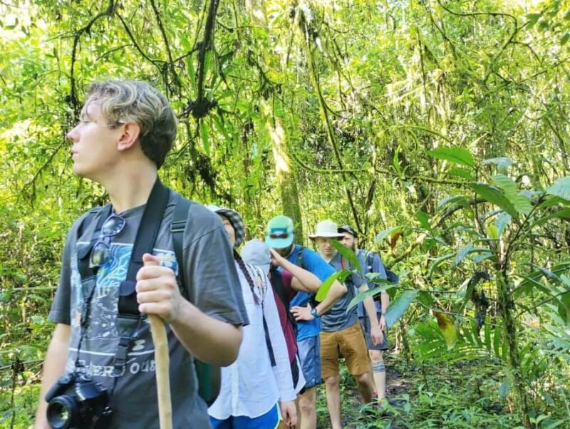 Munduk Jungle Trek & Hidden Waterfalls with Local Guide - A Detailed Look at the Munduk Jungle Trek Experience