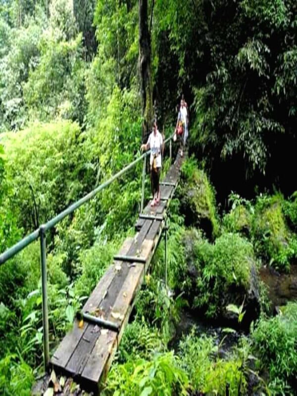 MUNDUK : Jungle Trekking Day Tour - What You Can Expect from the Munduk Jungle Trekking Experience
