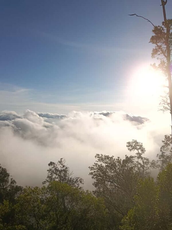 Munduk: Mount Shangyang Trek with Local Guide - Key Points