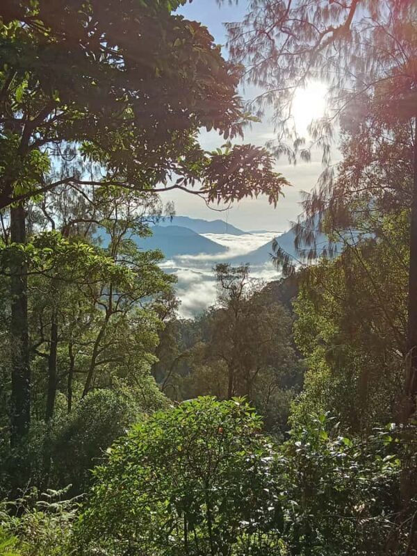 Munduk: Mount Shangyang Trek with Local Guide - Practical Details and Tips