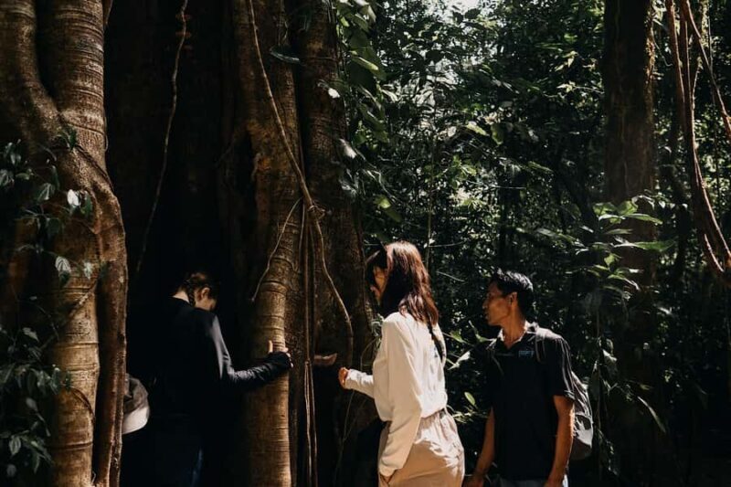 Munduk: Twin Lake Jungle Hike, Ulun Danu Temple, & Waterfall - Waterfall Discovery and Swimming