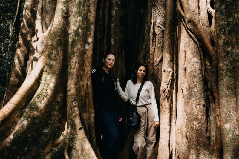 Munduk: Twin Lake Jungle Hike, Ulun Danu Temple, & Waterfall - Lunch and Return