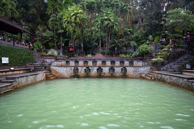 Munduk Waterfall Dolphin and Snorkeling Tour - Authentic Experiences and Traveler Insights