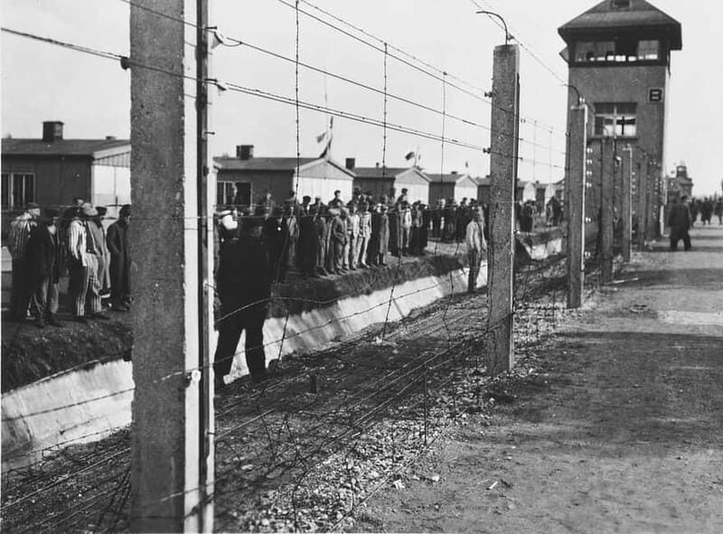 Munich: Dachau Concentration Camp Private Tour by Car - The Overall Experience: A Deep Dive into Dachaus History