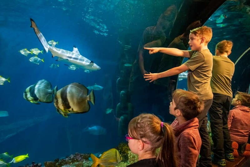 Munich: Day Ticket to Sea Life - Discovering Sea Life Munich: A Dive into the Underwater World