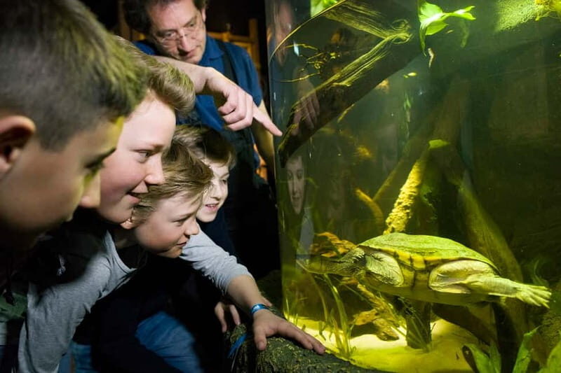 Munich: Day Ticket to Sea Life - The Sum Up: Is It Worth It?