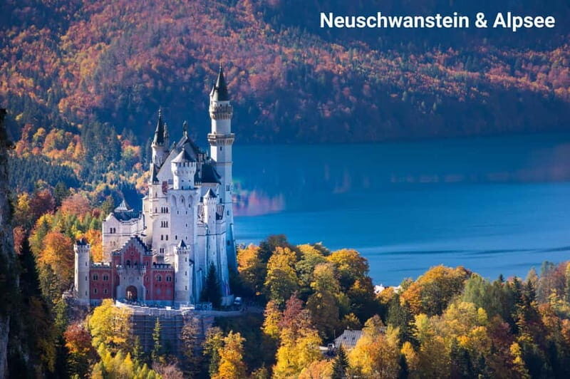 Munich: Neuschwanstein Castle Private Tour with Guide - A Detailed Look at the Tour
