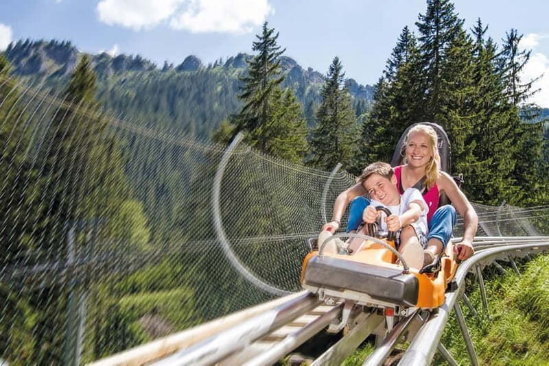 Munich: Private Neuschwanstein Castle & Alpine Coaster Tour - Key Points