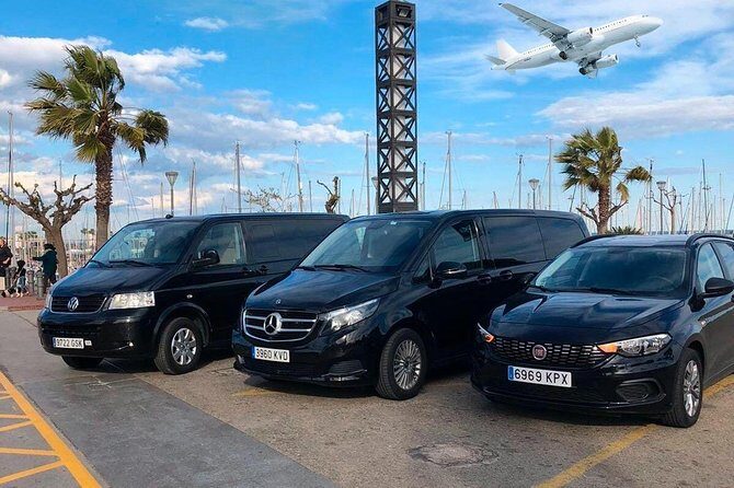 Munich to Munich Airport (MUC) - Departure Private Transfer - Who This Service Is Best For