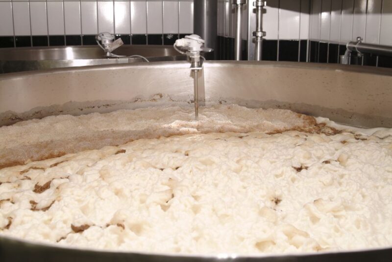 Munich's Beer Halls and Breweries: 3-Hour Guided Tour - An Honest Look at the Munich Beer Tour