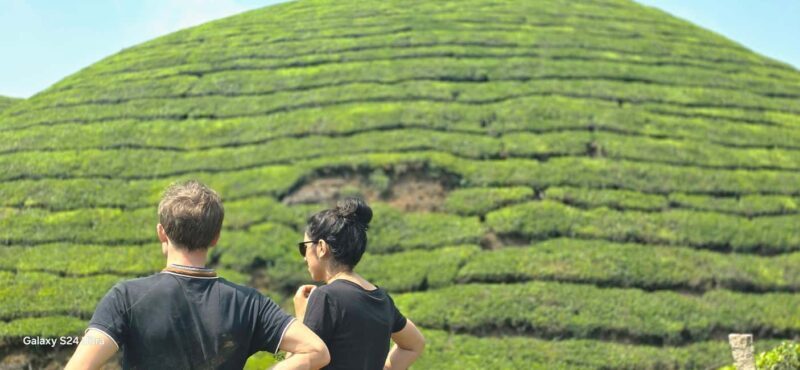 Munnar: Anakulam Jeep Safari to Explore Wild Elephants - An In-Depth Look at the Tour Experience