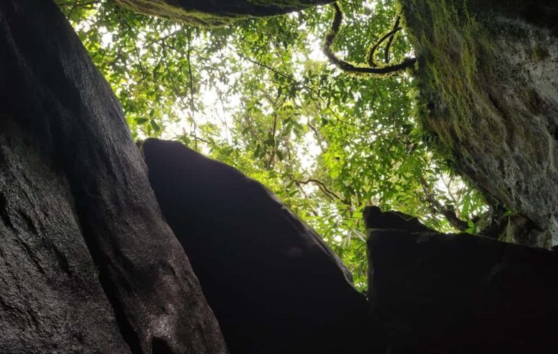 Munnar: Anakulam Jeep Safari to Explore Wild Elephants - Who Will Love This Tour?