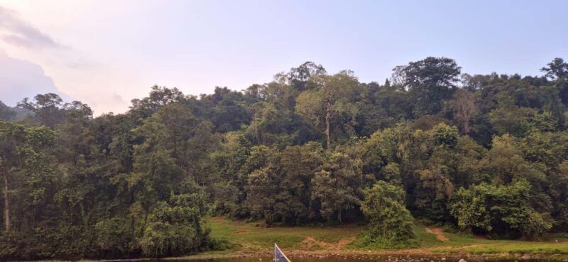 Munnar: Anakulam Jeep Safari with Waterfall and Elephant - FAQs