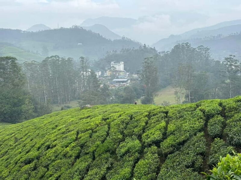 Munnar: Chokramudi Peak Full-Day Trekking Tour - Additional Info to Consider