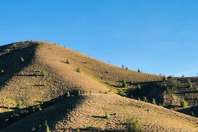 Munnar Daily Tour - An In-Depth Look at the 2-Day Munnar Tour