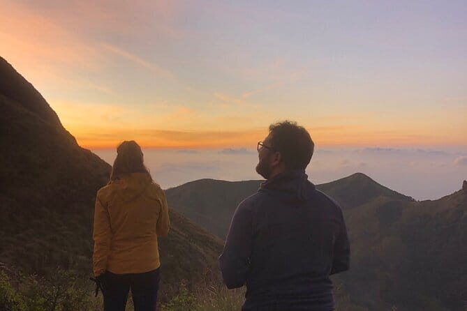 Munnar Daily Tour - Who Will Love This Tour?
