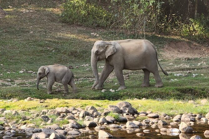 Munnar Daily Tour - What Do the Reviews Say?