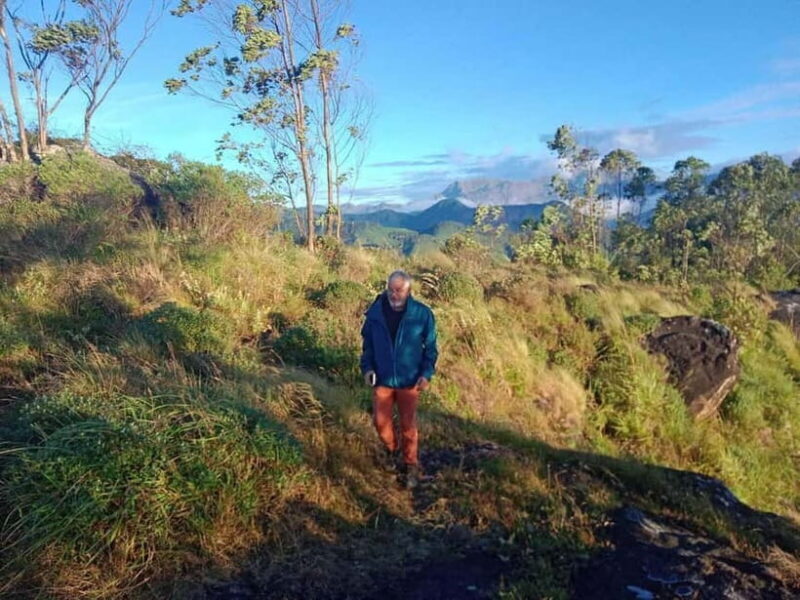 Munnar: Half day Guided Trek - A Closer Look at the Trek Experience