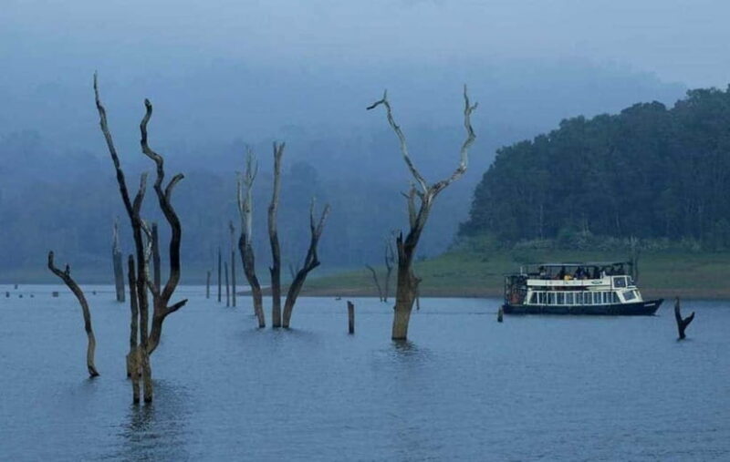 Munnar Hill Station with Periyar Wildlife Tour (03 Days) - FAQs
