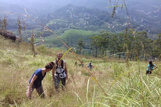 Munnar historical trail- (walk into Tea garden, village & market) - A Closer Look at the Experience