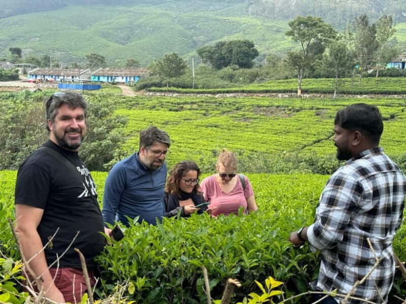 Munnar: Kolukkumalai Tea Plantation Jeep Tour - Introduction