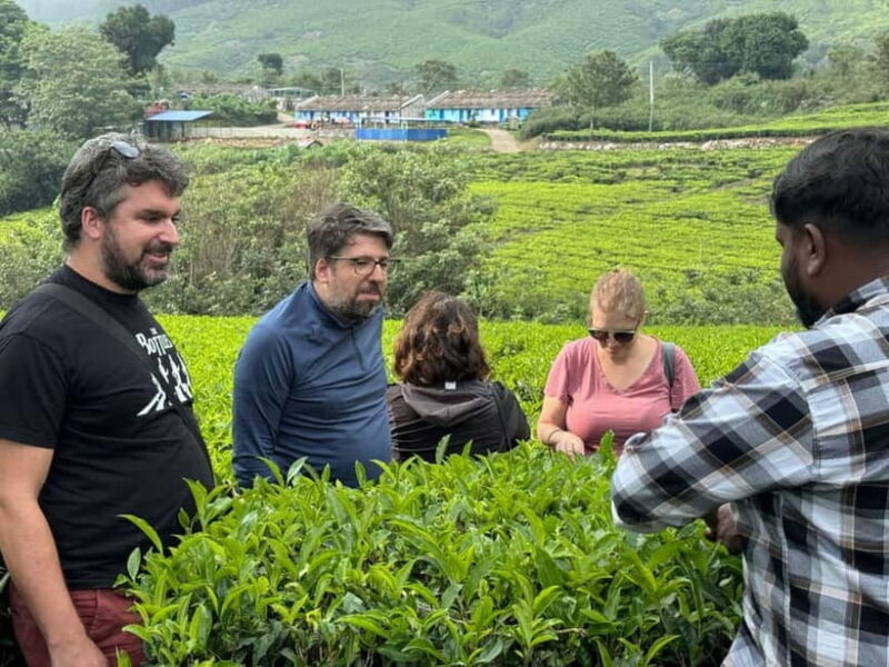 Munnar: Kolukkumalai Tea Plantation Jeep Tour - Key Points