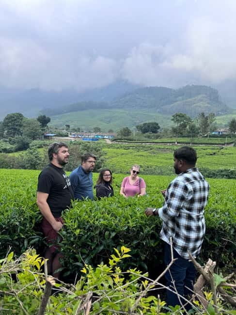 Munnar: Kolukkumalai Tea Plantation Jeep Tour - What to Expect and Practical Tips