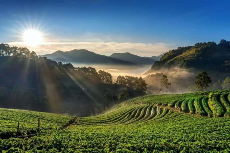 Munnar: Local Highlights Day Tour with Top station Visit - FAQ