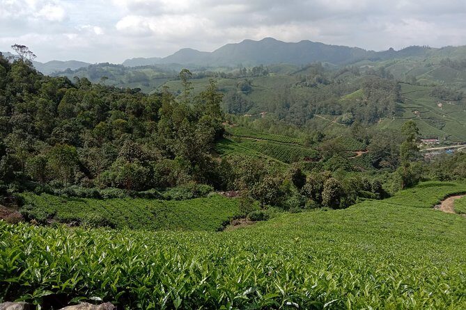 Munnar Mountain Trekking - Frequently Asked Questions