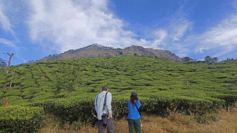 Munnar Nature Walk - Is It Worth the Cost?