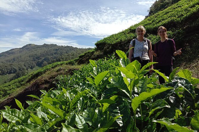 Munnar Tea Garden Trekking - Key Points