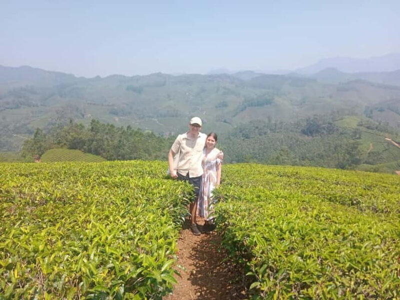 Munnar: Tea trail, Tea Factory, and Tea Tasting Tour - Inside the Lockhart Tea Factory