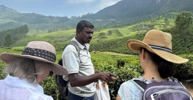 Munnar: Tea trail, Tea Factory, and Tea Tasting Tour - Authenticity and Guides